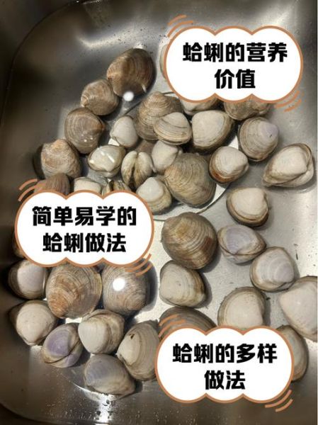 蛤的读音是什么_蛤怎么读才正确-第1张图片-山城妙识 蛤的读音是什么_蛤怎么读才正确-第1张图片-山城妙识