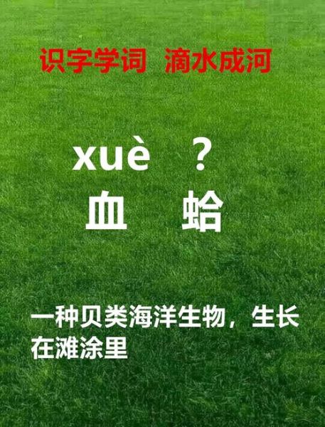 蛤的读音是什么_蛤怎么读才正确-第2张图片-山城妙识 蛤的读音是什么_蛤怎么读才正确-第2张图片-山城妙识