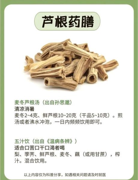 芦根的功效与作用_芦根能天天喝吗-第1张图片-山城妙识