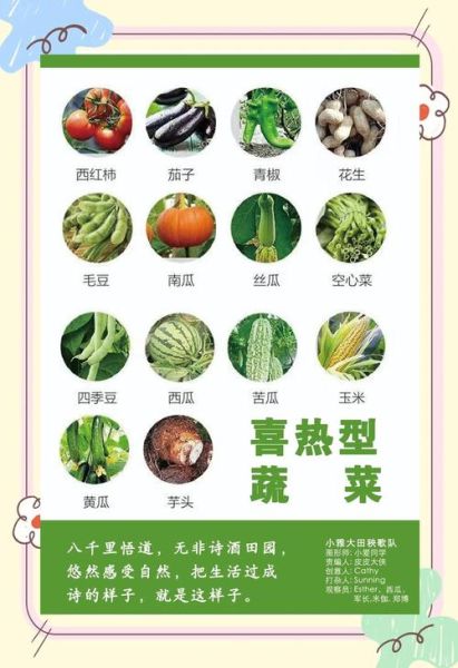 蔬菜种类名称大全_哪些蔬菜适合新手种植-第1张图片-山城妙识