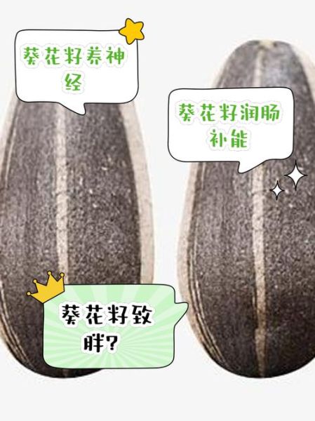 葵瓜子的营养价值_葵瓜子一天吃多少合适-第2张图片-山城妙识