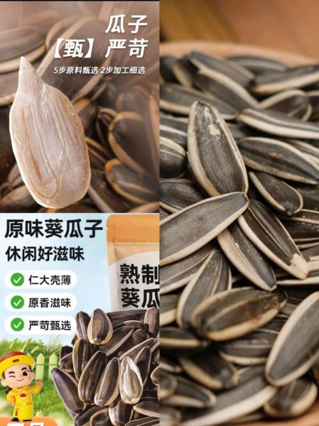 葵瓜子的营养价值_葵瓜子一天吃多少合适-第1张图片-山城妙识