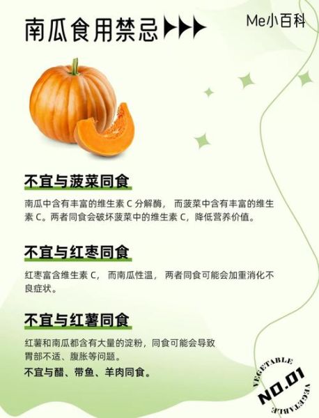 南瓜英语翻译_怎么翻译最地道-第3张图片-山城妙识