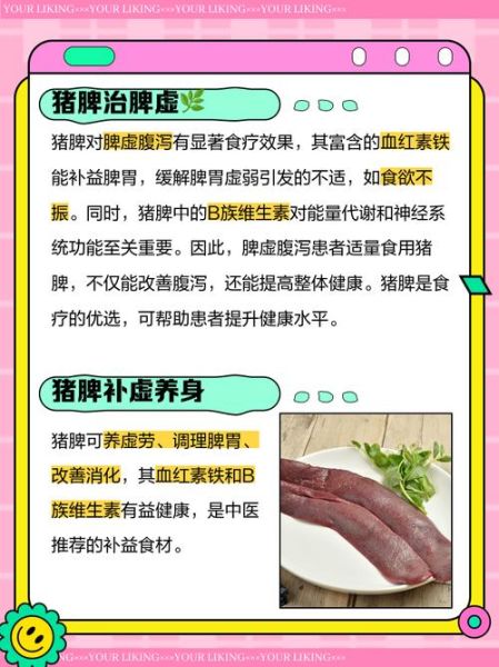 猪脾脏的功效与作用_猪脾脏怎么吃最补气血-第2张图片-山城妙识