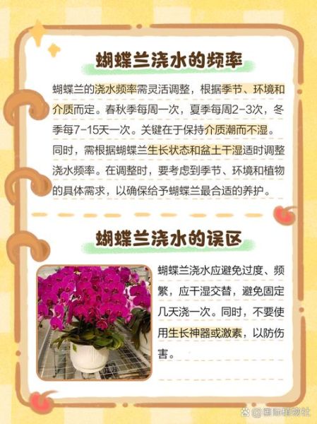 蝴蝶兰怎么养_蝴蝶兰多久浇一次水-第3张图片-山城妙识