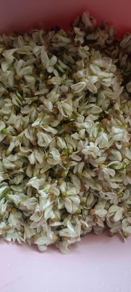 槐树花怎么吃_槐树花做法大全-第3张图片-山城妙识 槐树花怎么吃_槐树花做法大全-第3张图片-山城妙识