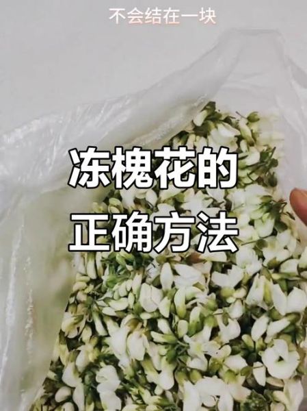 槐花放冰箱一年了还能吃吗_如何判断是否变质-第2张图片-山城妙识