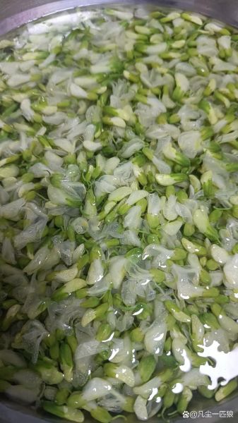 槐花放冰箱一年了还能吃吗_如何判断是否变质-第3张图片-山城妙识