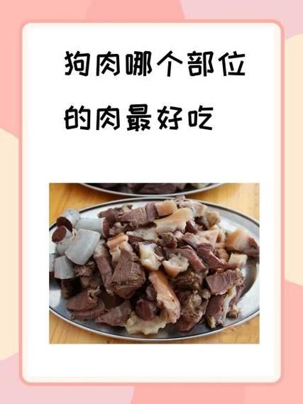 吃狗肉倒霉三年是真的吗_民间说法科学解释-第1张图片-山城妙识 吃狗肉倒霉三年是真的吗_民间说法科学解释-第1张图片-山城妙识