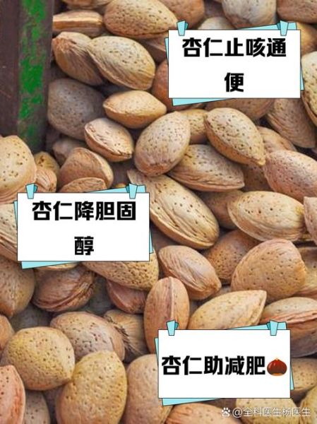 新鲜杏仁果的功效与作用_怎么吃最健康-第1张图片-山城妙识