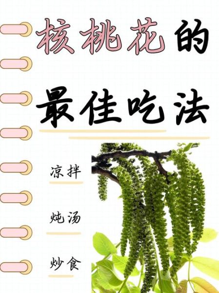 新鲜核桃花怎么吃_核桃花有什么营养价值-第1张图片-山城妙识