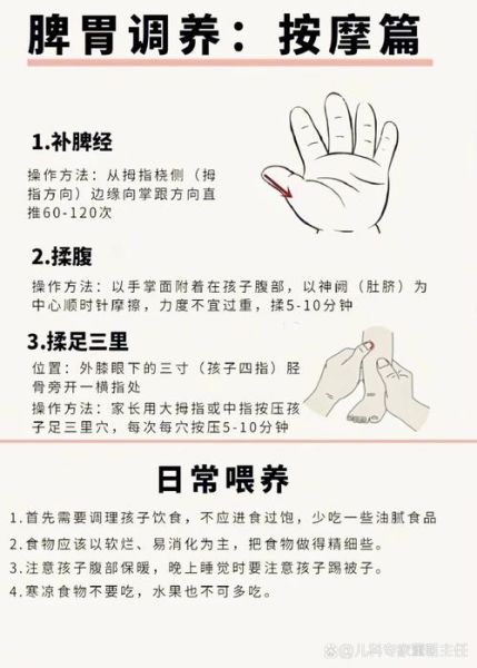 怎样调理脾胃_脾胃虚弱的日常调理方法-第3张图片-山城妙识