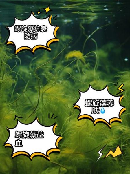 螺旋藻什么人不能吃_哪些人不适合吃螺旋藻-第1张图片-山城妙识