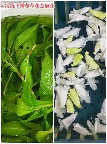 土酒曲配方_如何自制土酒曲-第3张图片-山城妙识