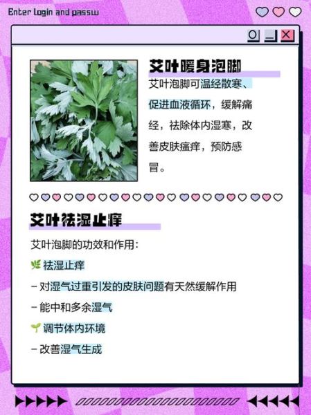 长期用艾叶泡脚有没有危害_艾叶泡脚的副作用-第2张图片-山城妙识