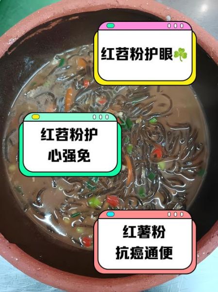 红苕粉的功效与作用_红苕粉能减肥吗-第1张图片-山城妙识