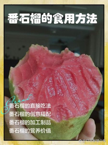 芭乐怎么吃图解_番石榴怎么吃图解-第1张图片-山城妙识