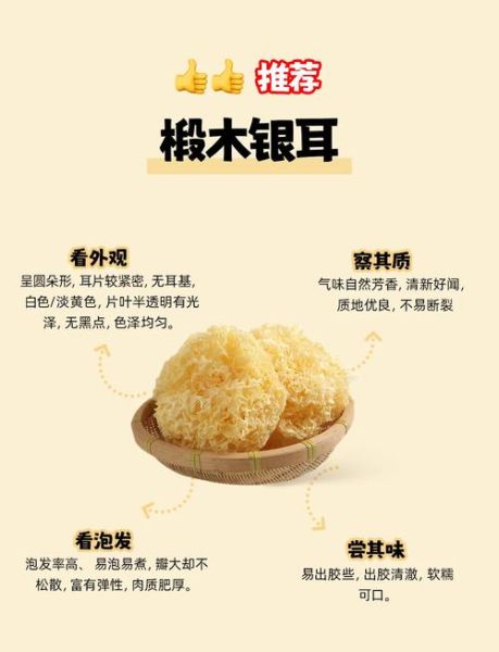 银耳吃了容易湿气重吗_湿气重的人能吃银耳吗-第1张图片-山城妙识
