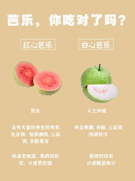 芭乐怎么吃图解_番石榴怎么吃图解-第2张图片-山城妙识