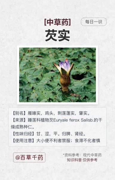 芡实怎么吃_芡实禁忌有哪些-第2张图片-山城妙识