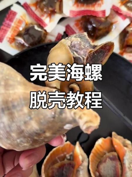 海螺怎么清洗_海螺怎么做好吃-第2张图片-山城妙识