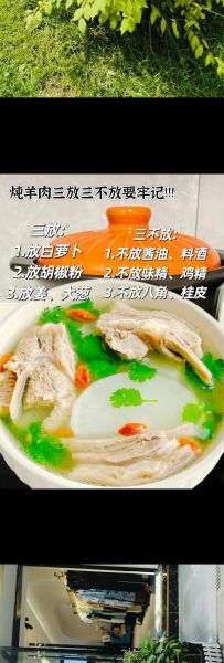 炖羊肉的做法大全_炖羊肉怎么做好吃又烂-第2张图片-山城妙识