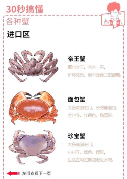 海边常见螃蟹有哪些_怎么区分-第2张图片-山城妙识