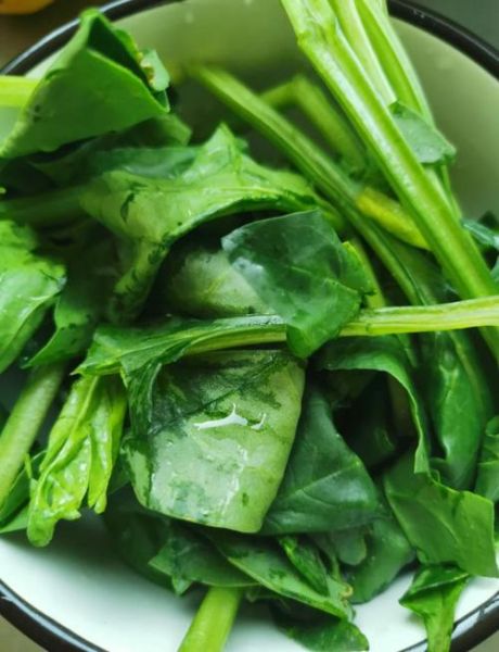 没有榨汁机怎么做菠菜汁_菠菜汁手工做法-第3张图片-山城妙识