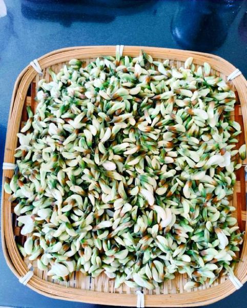 焯水冷冻的槐花怎么吃_槐花解冻后怎么做好吃-第1张图片-山城妙识 焯水冷冻的槐花怎么吃_槐花解冻后怎么做好吃-第1张图片-山城妙识