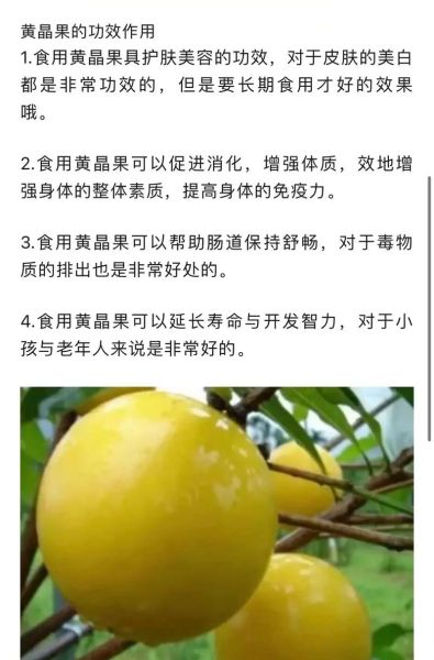 水果之王排名_哪种水果营养最全面-第1张图片-山城妙识