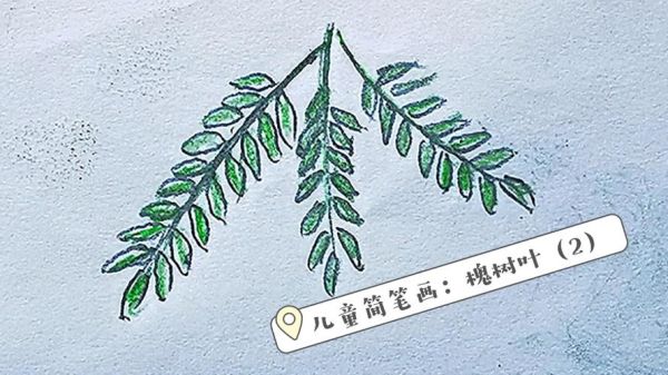 槐树叶简笔画怎么画_槐树叶简笔画步骤-第2张图片-山城妙识