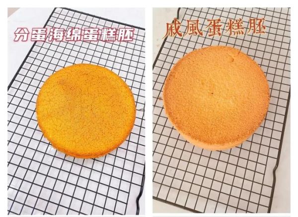 戚风蛋糕和海绵蛋糕的区别_哪个更松软-第3张图片-山城妙识