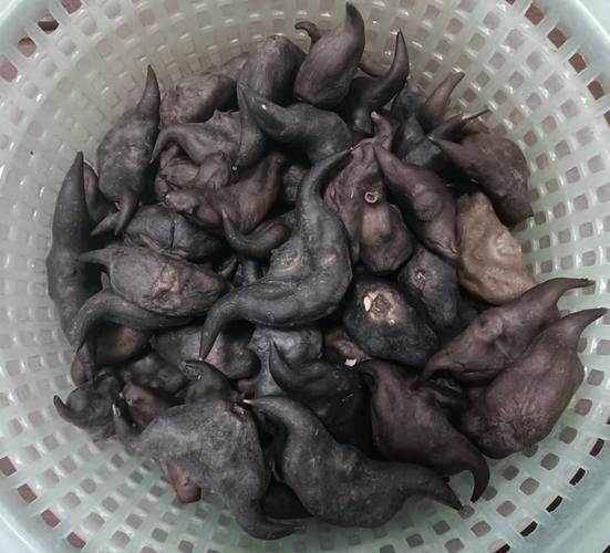 水煮菱角要不要放盐_怎么煮才入味-第2张图片-山城妙识