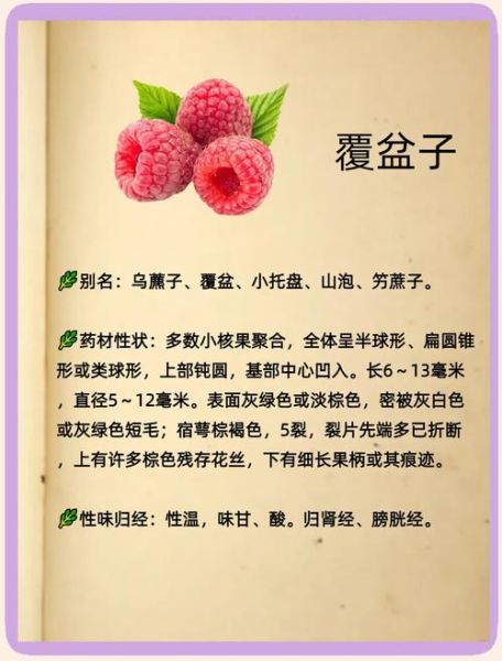 覆盆子泡酒配方大全_覆盆子泡酒的功效与作用-第3张图片-山城妙识 覆盆子泡酒配方大全_覆盆子泡酒的功效与作用-第3张图片-山城妙识