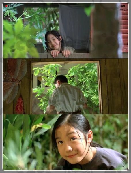 青木瓜之味在线观看_哪里能看高清完整版-第2张图片-山城妙识