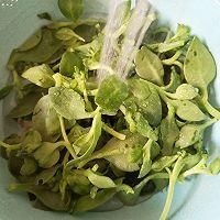 新鲜穿心莲怎么吃最好_新鲜穿心莲凉拌还是炒-第2张图片-山城妙识