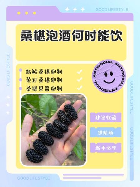 男人喝桑椹酒的功效与作用_男人喝桑椹酒能壮阳吗-第1张图片-山城妙识