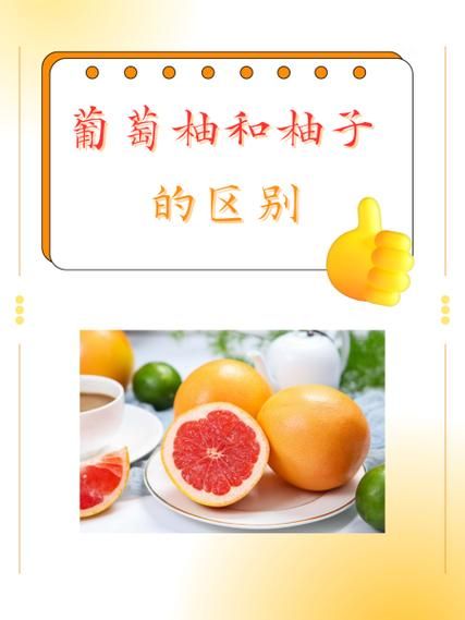 西柚和柚子有什么区别_哪个更好吃-第1张图片-山城妙识