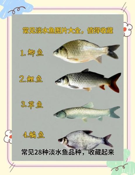 南方淡水鱼种类大全_常见品种有哪些-第3张图片-山城妙识