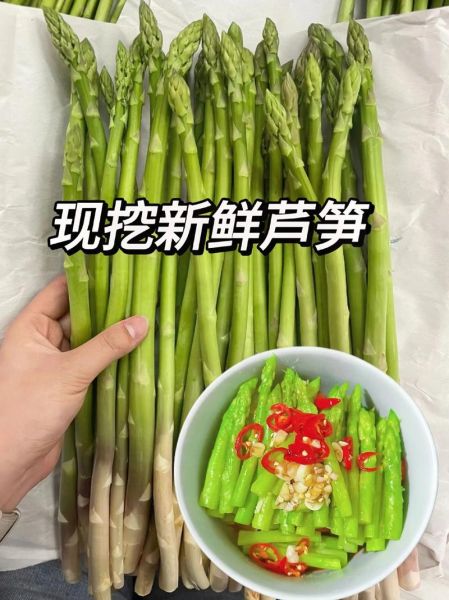 绿芦笋怎么挑选_绿芦笋的营养价值-第3张图片-山城妙识