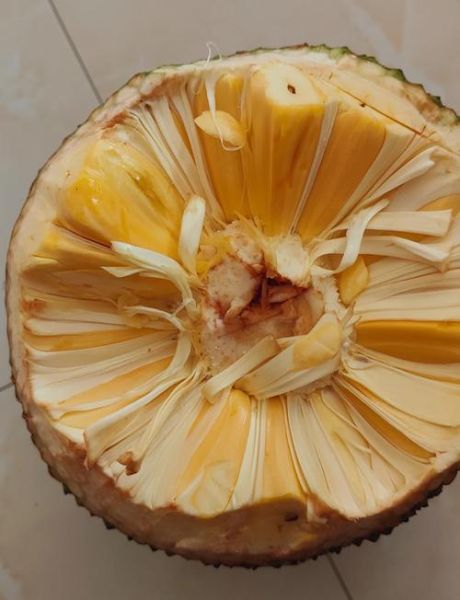 菠萝蜜官方国际通道入口在哪里_如何安全访问-第3张图片-山城妙识