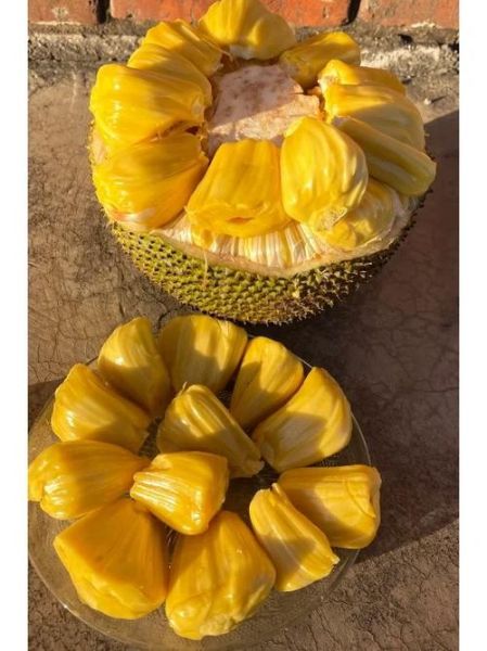 菠萝蜜官方国际通道入口在哪里_如何安全访问-第1张图片-山城妙识