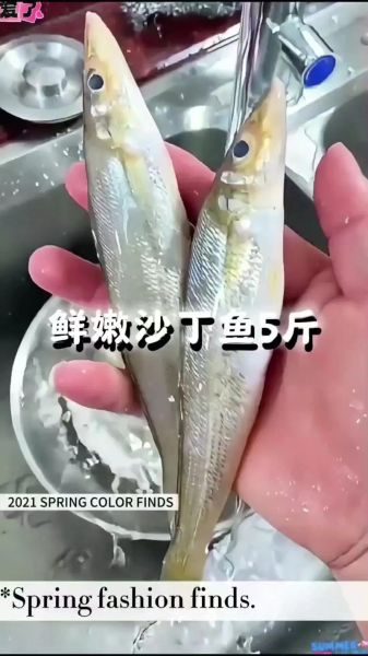 沙丁鱼图片大全大图_如何挑选高清沙丁鱼壁纸-第1张图片-山城妙识 沙丁鱼图片大全大图_如何挑选高清沙丁鱼壁纸-第1张图片-山城妙识