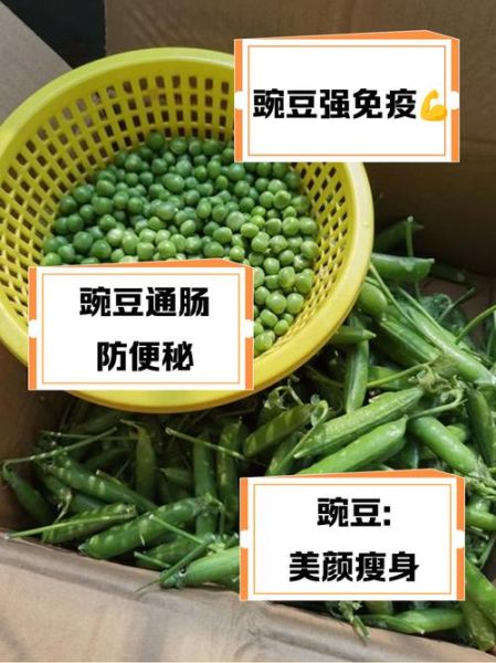 碗豆怎么做好吃_碗豆的家常做法大全-第3张图片-山城妙识