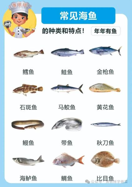 市场上常见的海鱼有哪些_海鱼种类及价格-第3张图片-山城妙识 市场上常见的海鱼有哪些_海鱼种类及价格-第3张图片-山城妙识