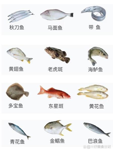 市场上常见的海鱼有哪些_海鱼种类及价格-第2张图片-山城妙识 市场上常见的海鱼有哪些_海鱼种类及价格-第2张图片-山城妙识