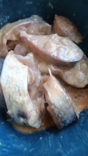 白鲢鱼怎么做好吃_白鲢鱼多少钱一斤-第3张图片-山城妙识