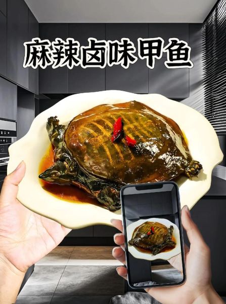 卤甲鱼的功效与作用_孕妇能吃卤甲鱼吗-第3张图片-山城妙识