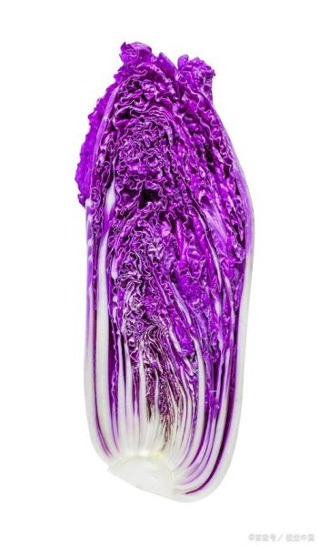 紫甘蓝图片高清_紫甘蓝怎么保存不变色-第2张图片-山城妙识