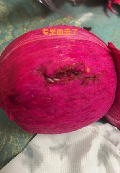 火龙果皮烂了还能吃吗_火龙果皮发霉了怎么处理-第3张图片-山城妙识